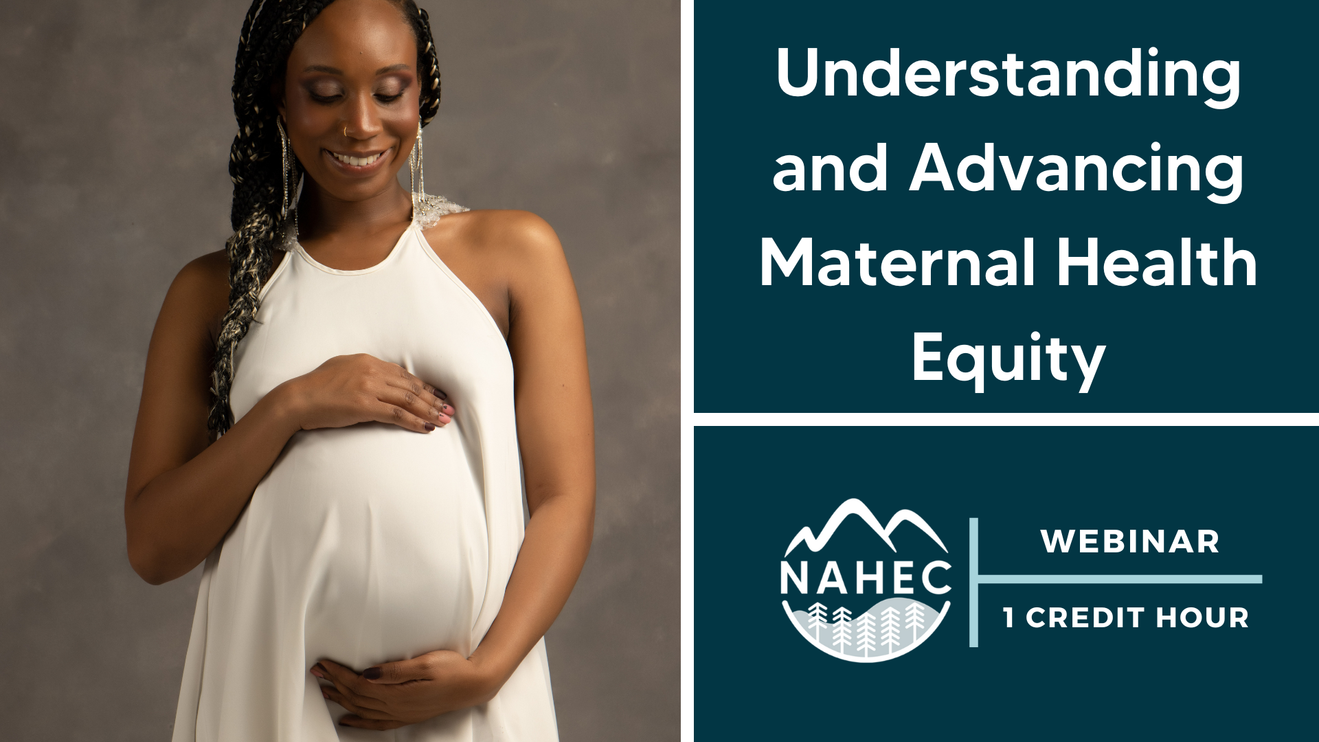 Understanding and Advancing Maternal Health Equity - Northern Area ...